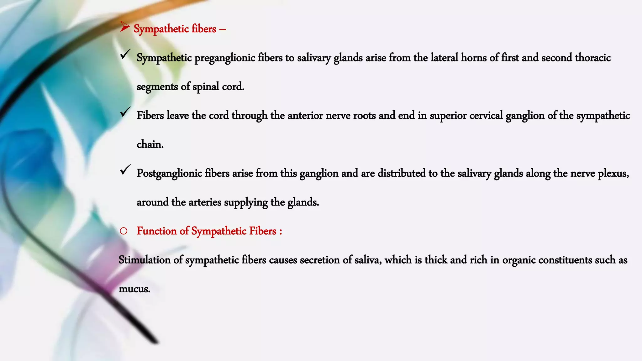 saliva and salivary glands | PPTX | Ear, Nose and Throat Conditions ...