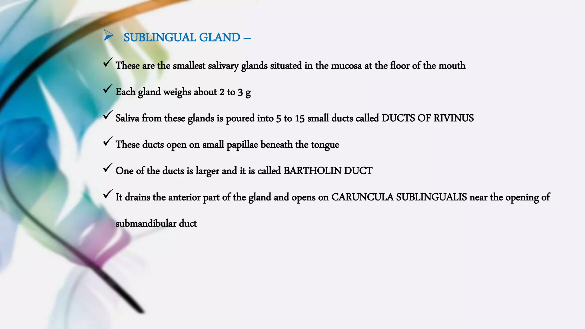 saliva and salivary glands | PPTX | Ear, Nose and Throat Conditions ...