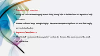 saliva and salivary glands | PPTX