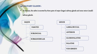 saliva and salivary glands | PPTX