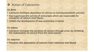 Calcium Metabolism | PPTX