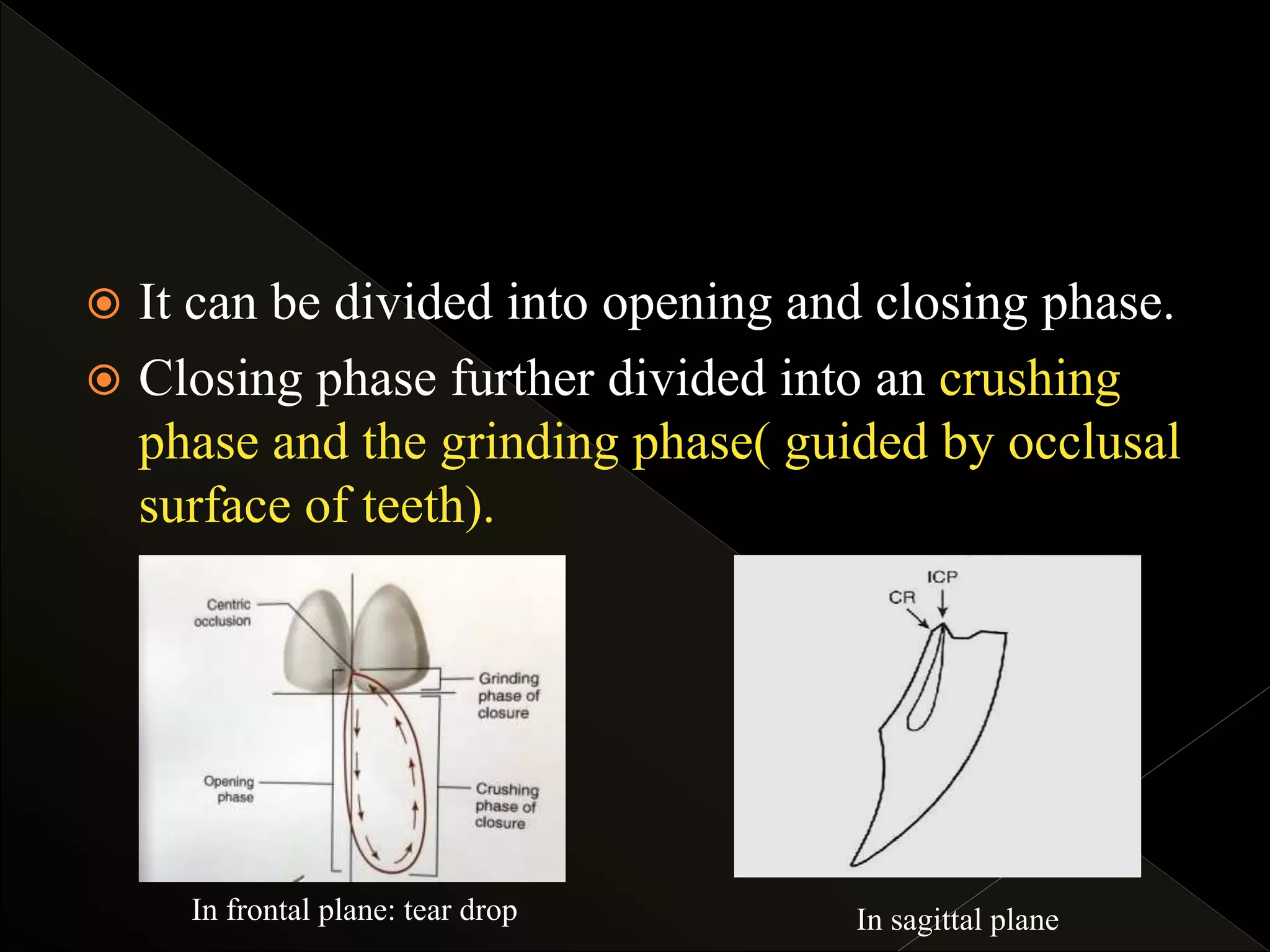 Mandibular movements and determinants | PPTX