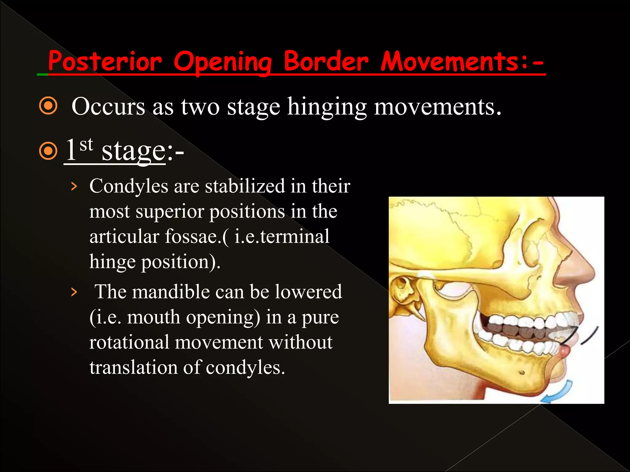 Mandibular movements and determinants | PPTX