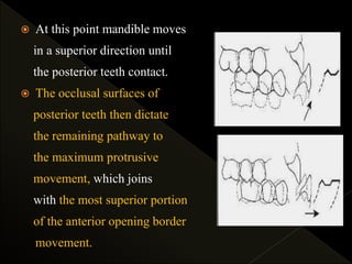 Mandibular movements and determinants | PPTX