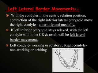Mandibular movements and determinants | PPTX