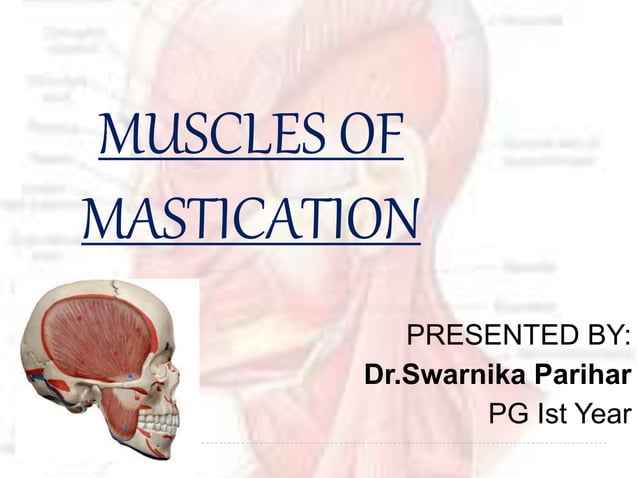 seminar 4-muscles of mastication tongue.pptx
