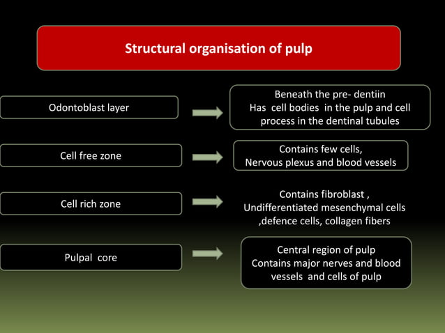Pulpal response to various dental procedures restorative materials ...