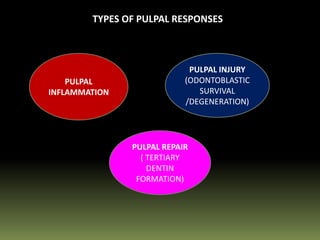 Pulpal response to various dental procedures restorative materials | PPTX