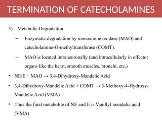 Adrenergic Drugs and drugs acting on adrenergic receptors.ppt