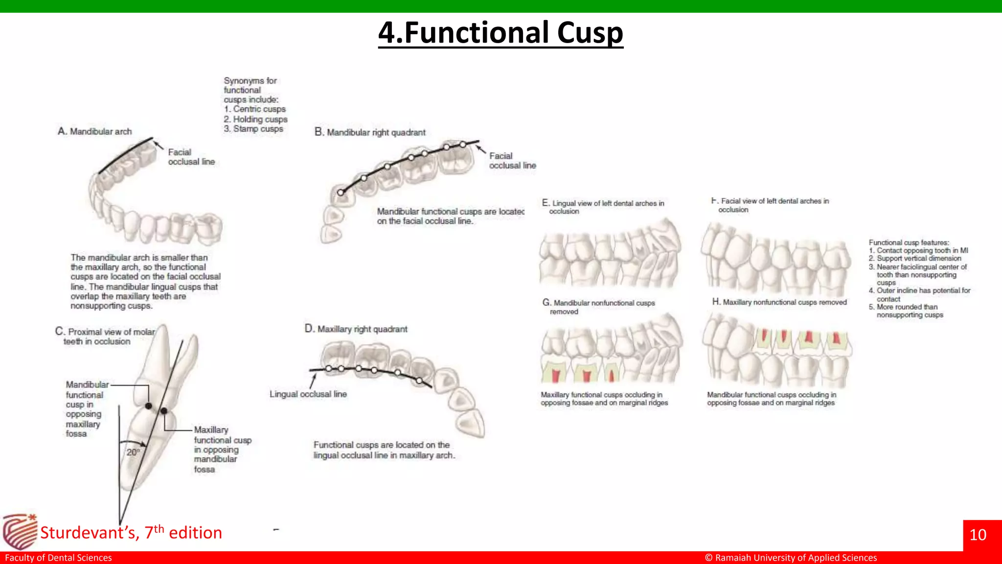 Occlusion in restorative dentistry | PPTX