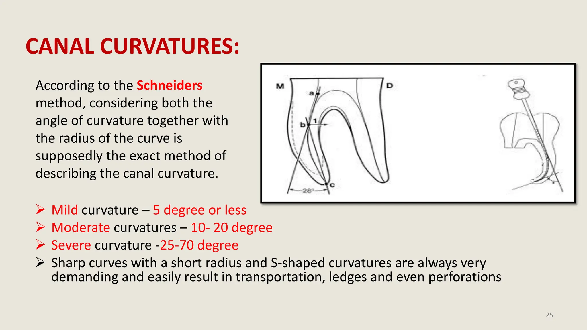 INTERNAL ANATOMY OF PERMANENT TOOTH - Endodontic approaches. | PPTX