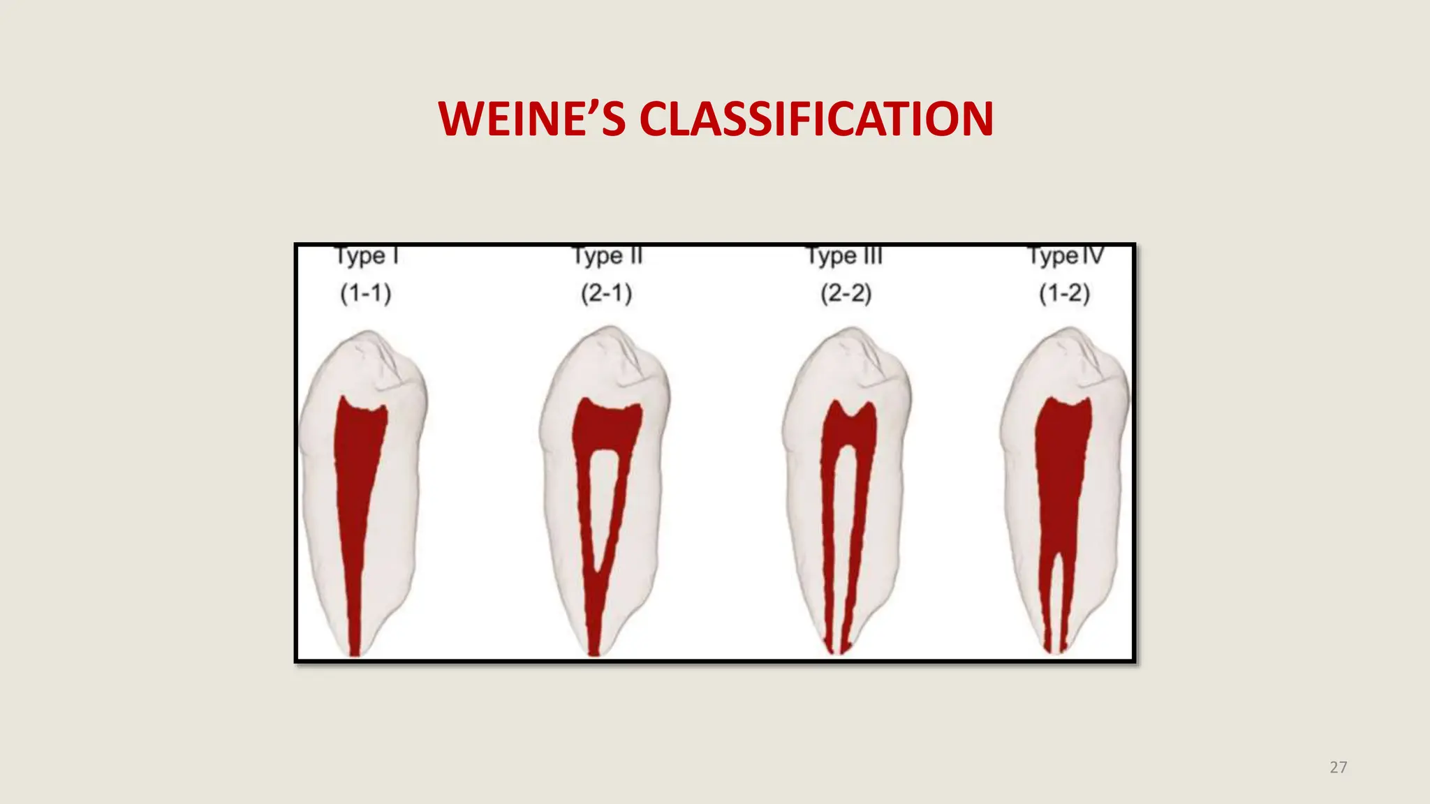 INTERNAL ANATOMY OF PERMANENT TOOTH - Endodontic approaches. | PPTX