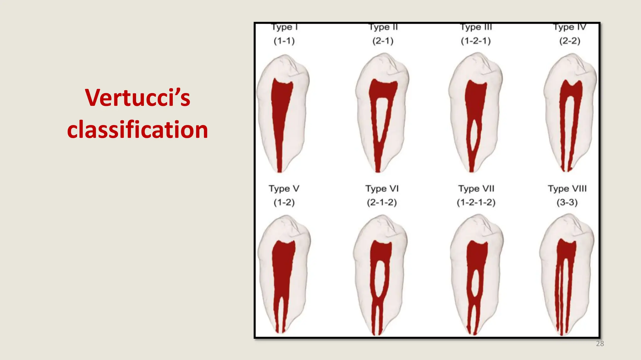 INTERNAL ANATOMY OF PERMANENT TOOTH - Endodontic approaches. | PPTX