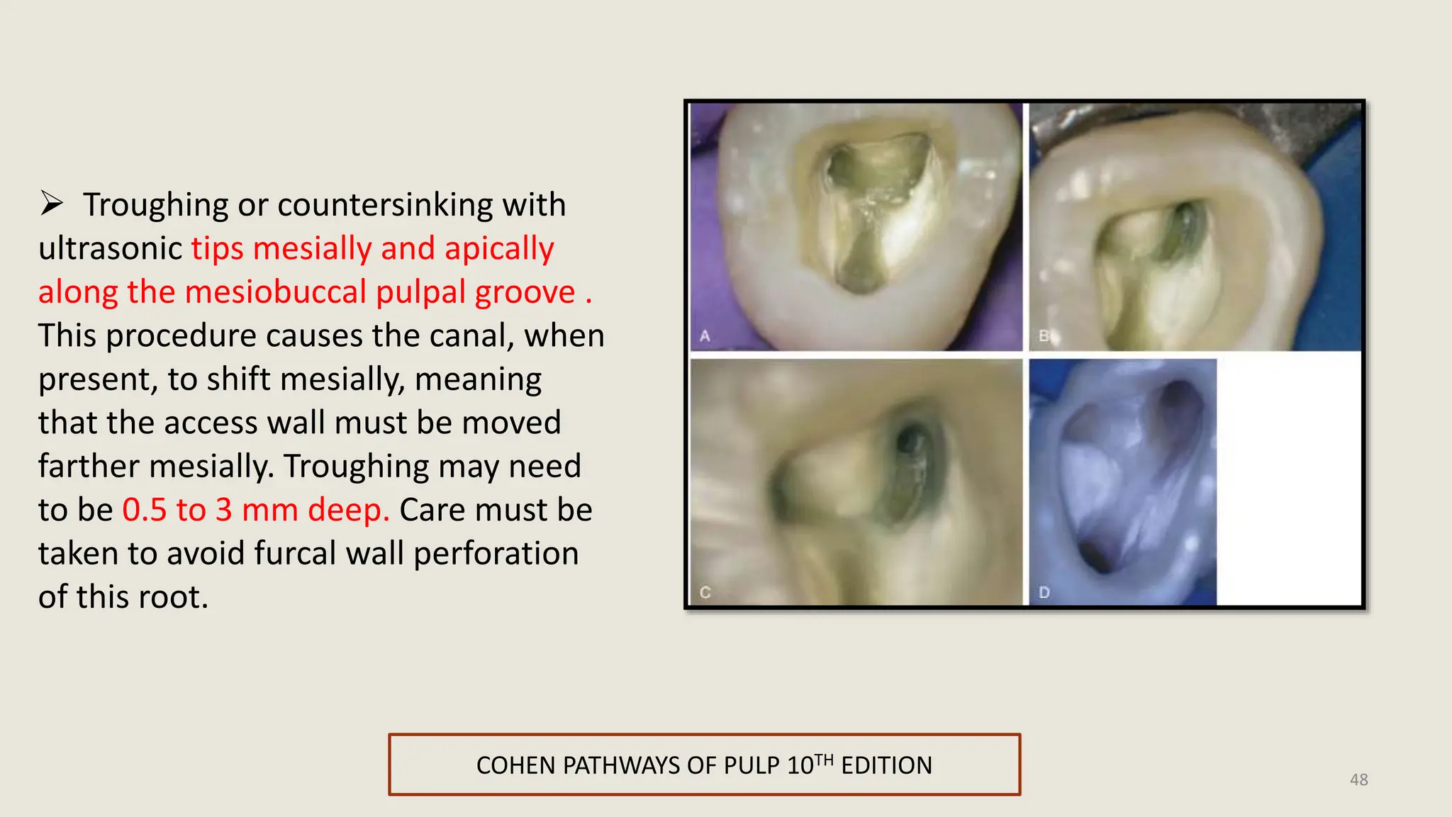 INTERNAL ANATOMY OF PERMANENT TOOTH - Endodontic approaches. | PPTX