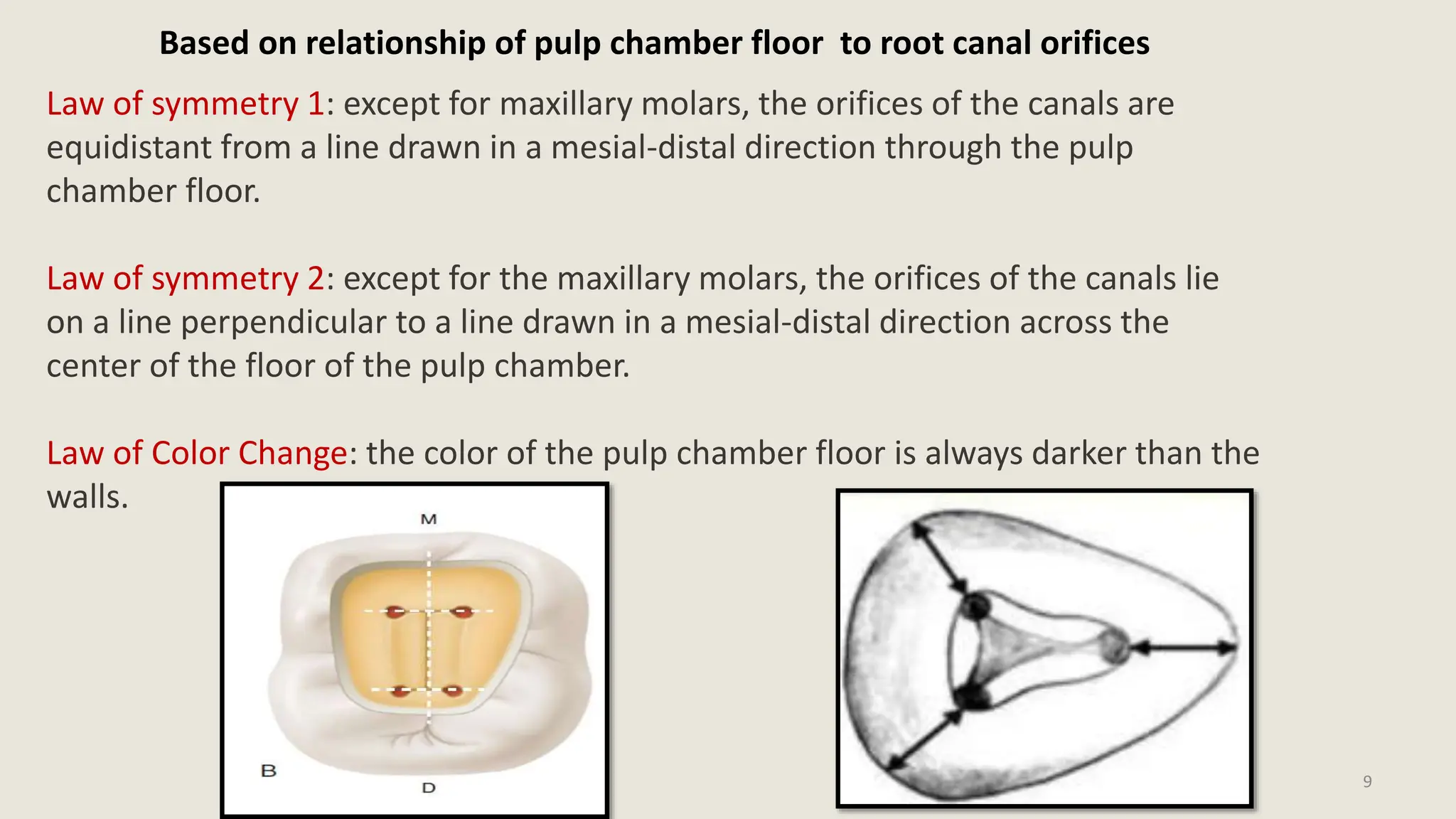 INTERNAL ANATOMY OF PERMANENT TOOTH - Endodontic approaches. | PPTX