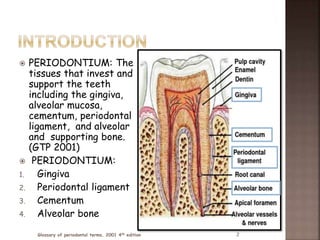 Periodontal ligament in health part 1 | PPTX