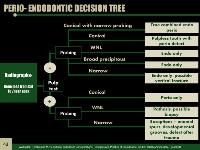 Endodontic Periodontal Relationship, ENDO PERIO LESION | PPTX | Dental ...