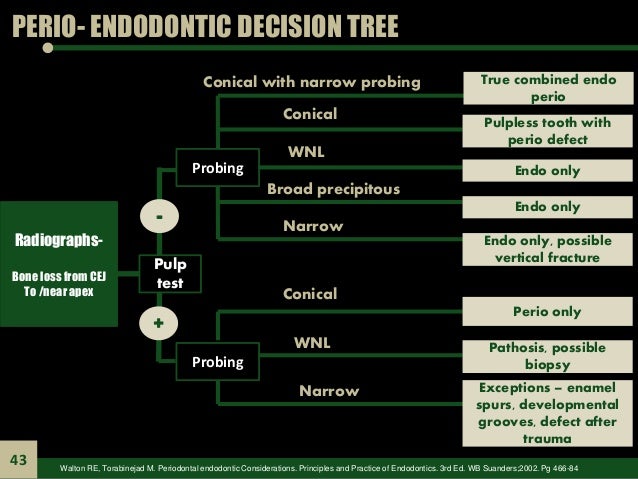 Endodontic Periodontal Relationship, ENDO PERIO LESION