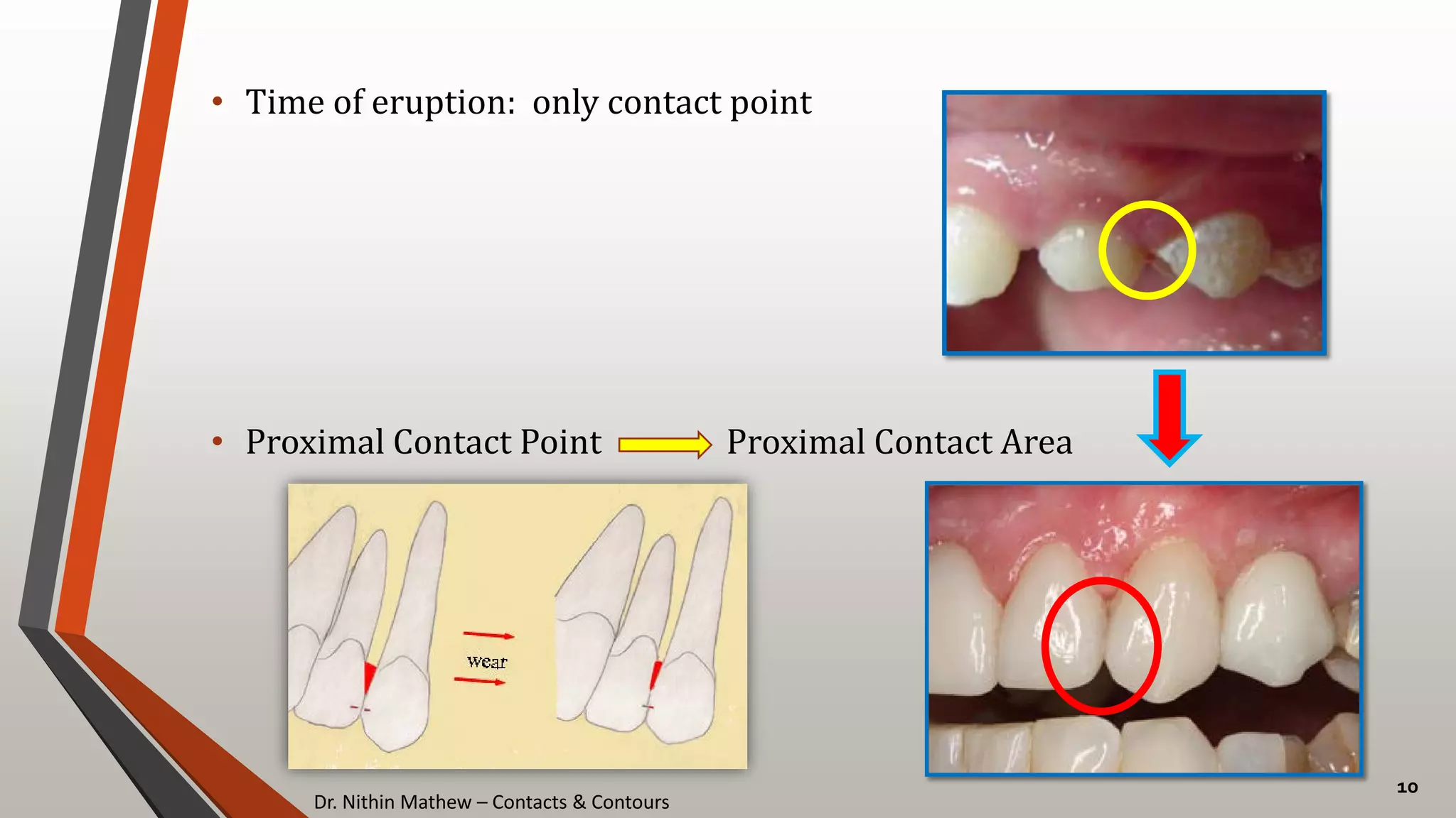 Contacts & Contours | PDF