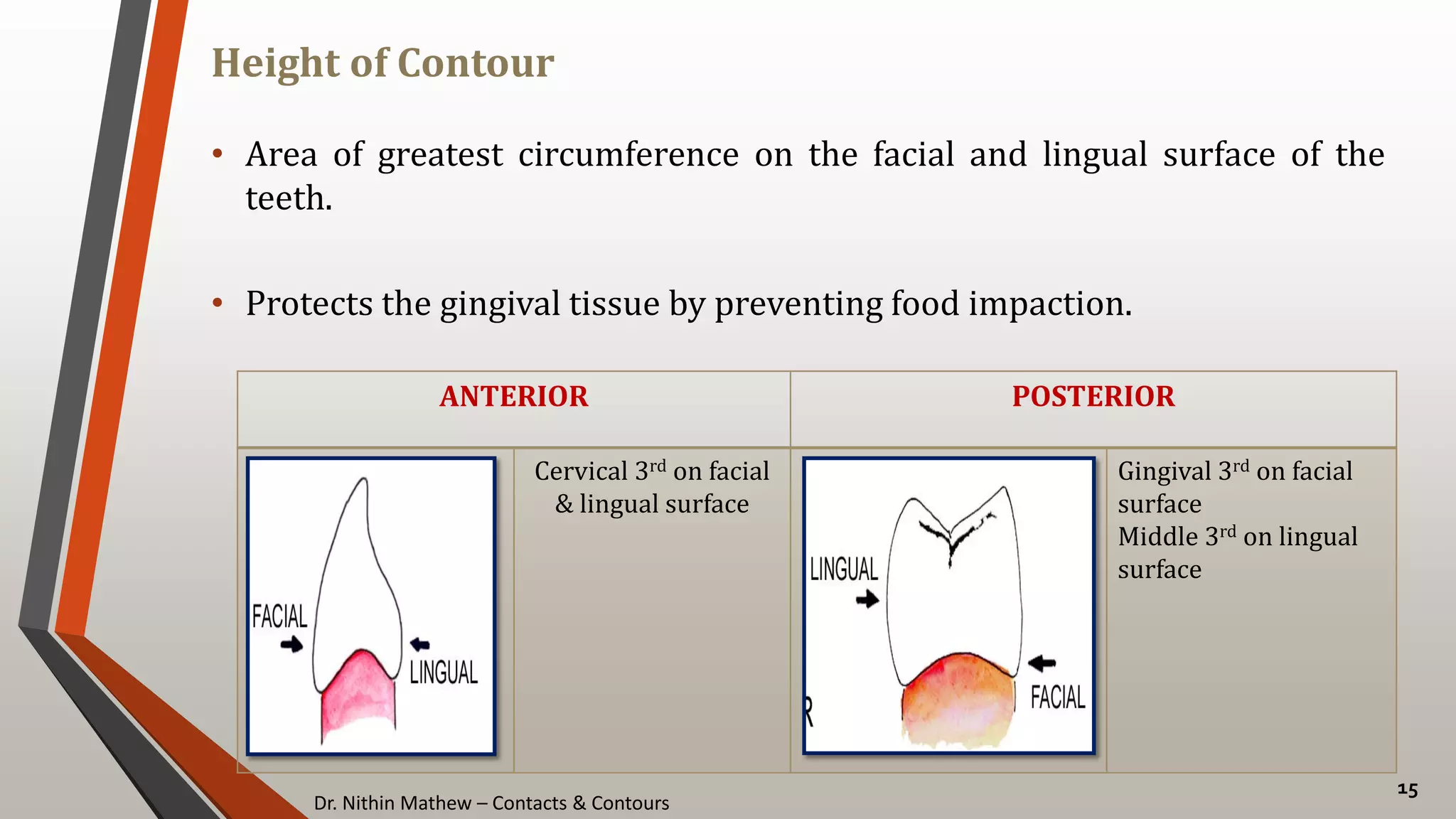 Contacts & Contours | PDF