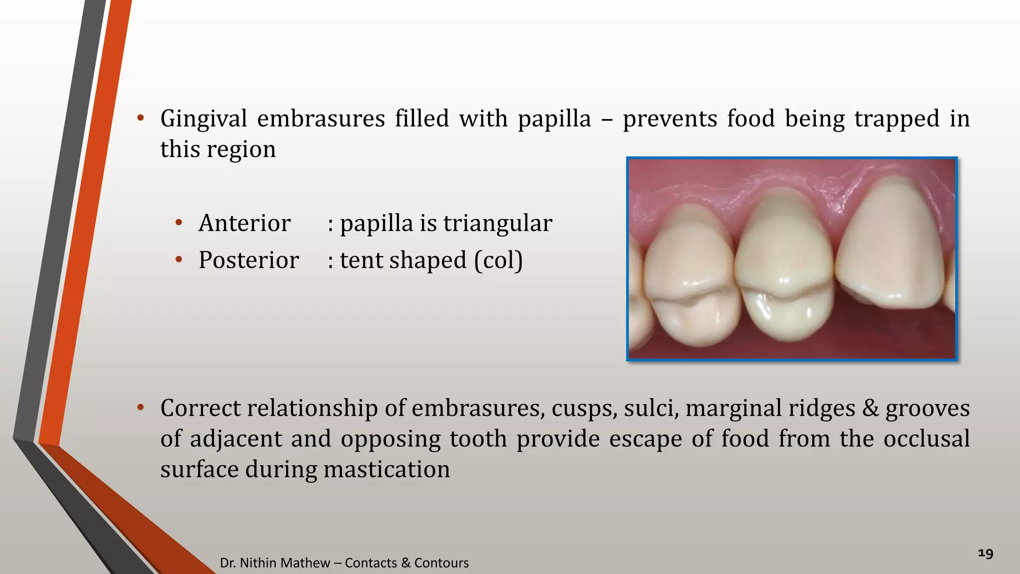 Contacts & Contours | PDF