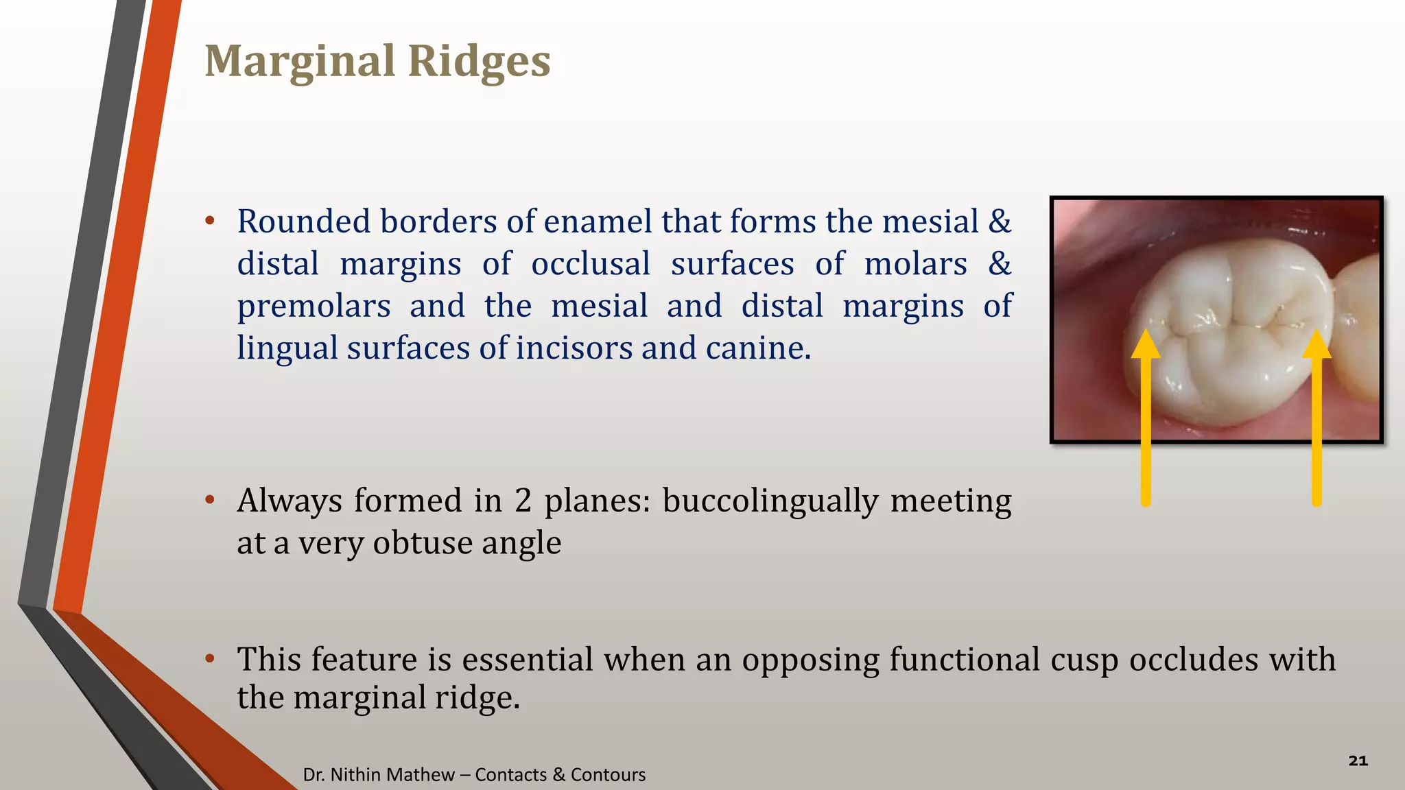 Contacts & Contours | PDF