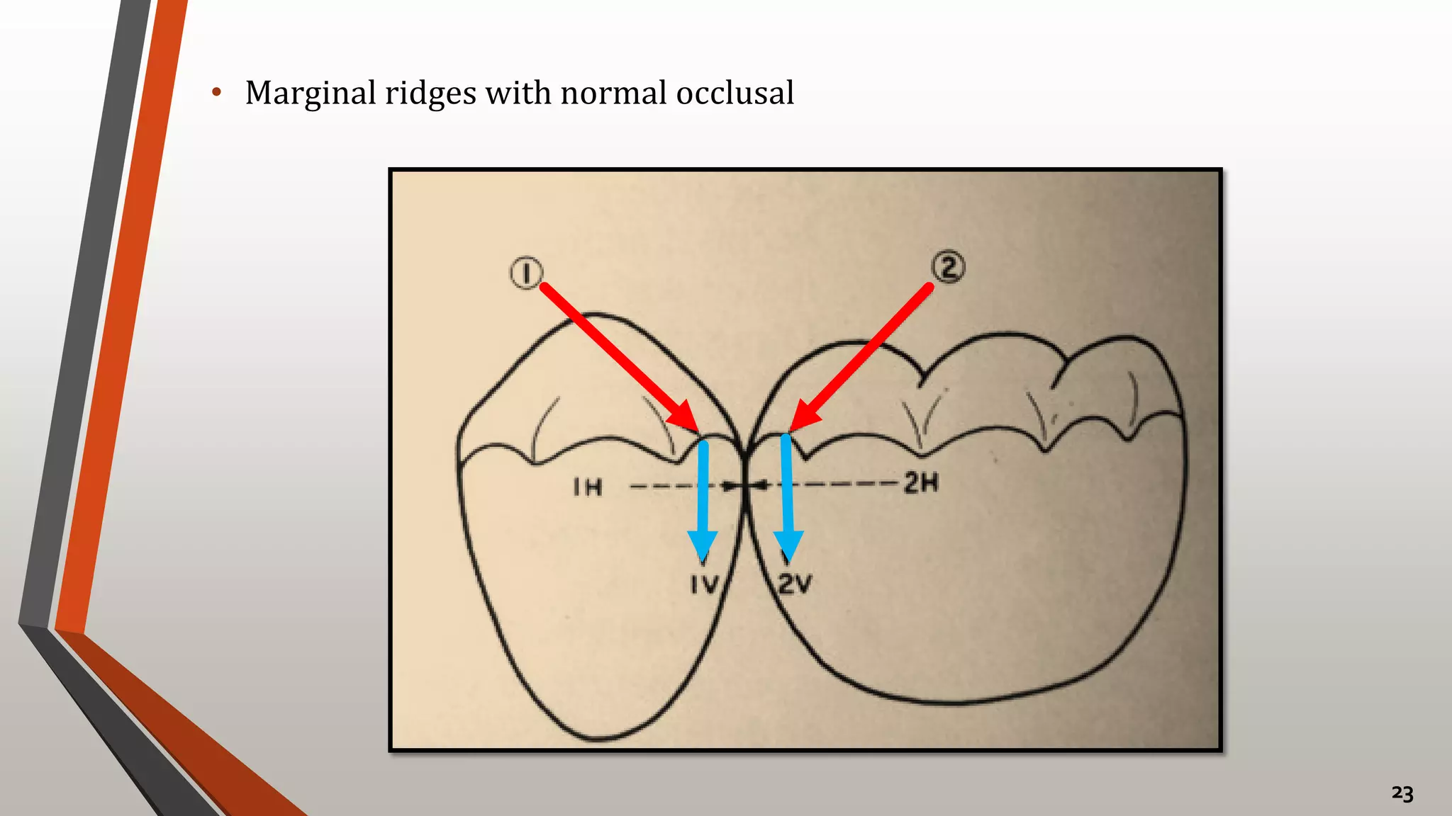 Contacts & Contours | PDF