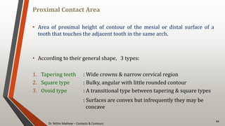 Contacts & Contours | PDF