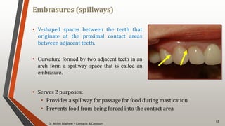 Contacts & Contours | PDF