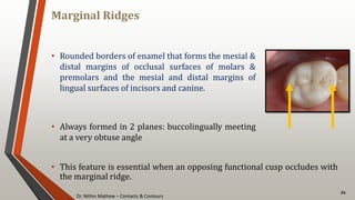 Contacts & Contours | PDF