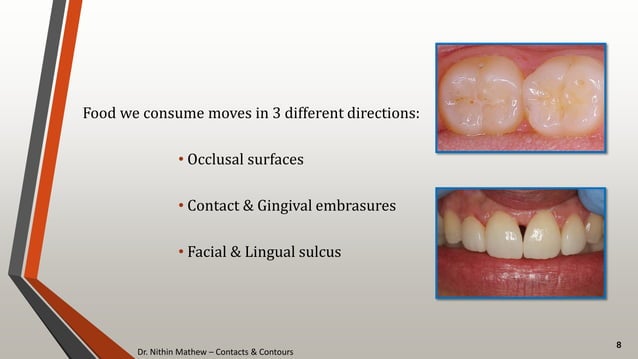 Contacts & Contours | PDF | Oral care | Personal Care