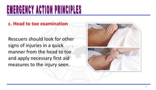 Seminar 5 Minute Presentation on Principles of Emergency Care.ppt