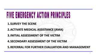 Seminar 5 Minute Presentation on Principles of Emergency Care.ppt