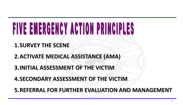 Seminar 5 Minute Presentation on Principles of Emergency Care.ppt ...
