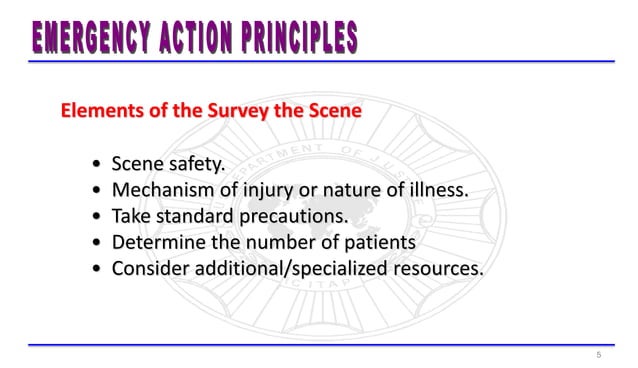 Seminar 5 Minute Presentation on Principles of Emergency Care.ppt ...