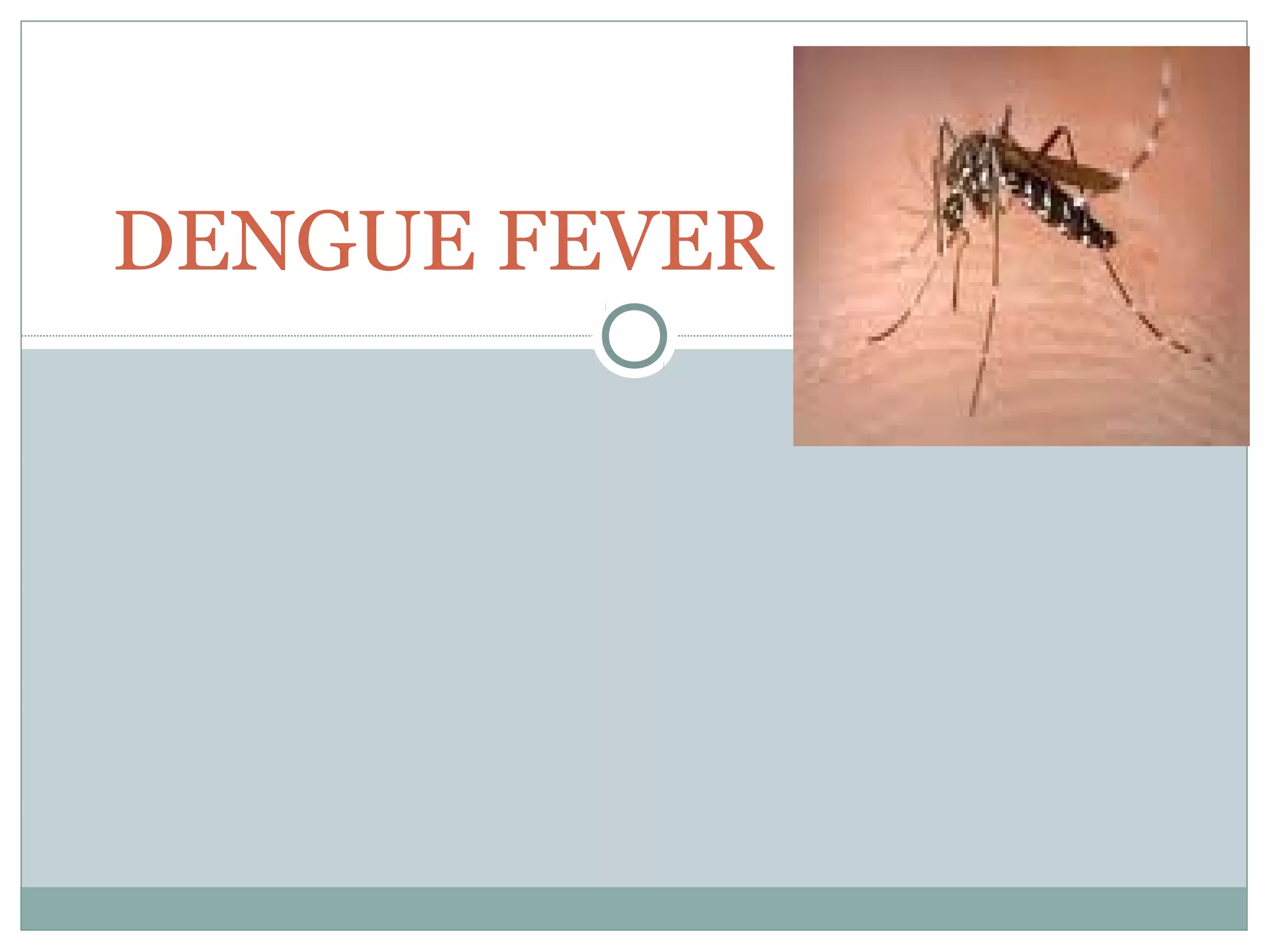 Dengue fever | PPT