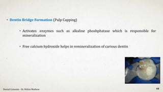 Dental Cements | PDF