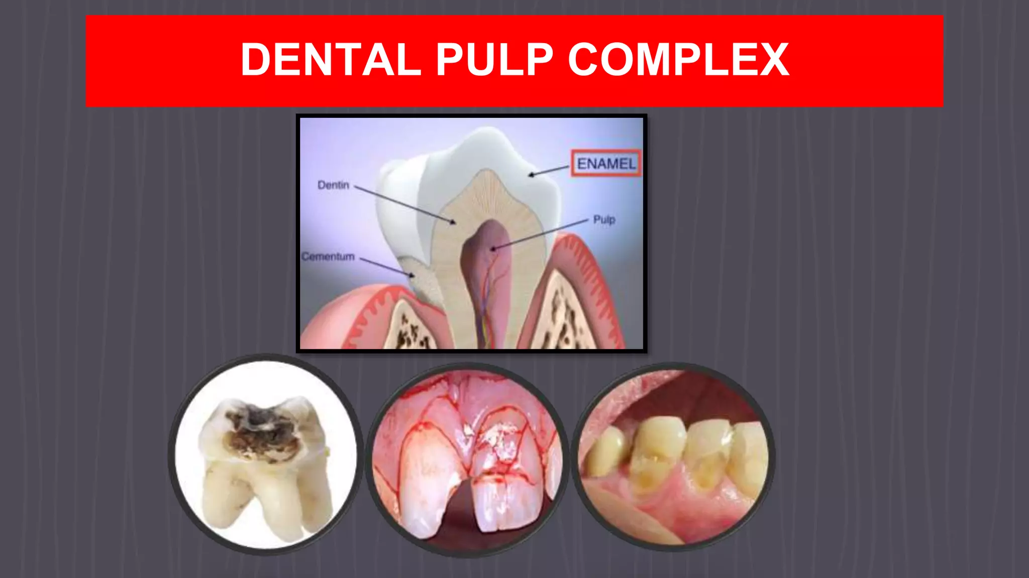 PULP DENTIN COMPLEX | PPTX