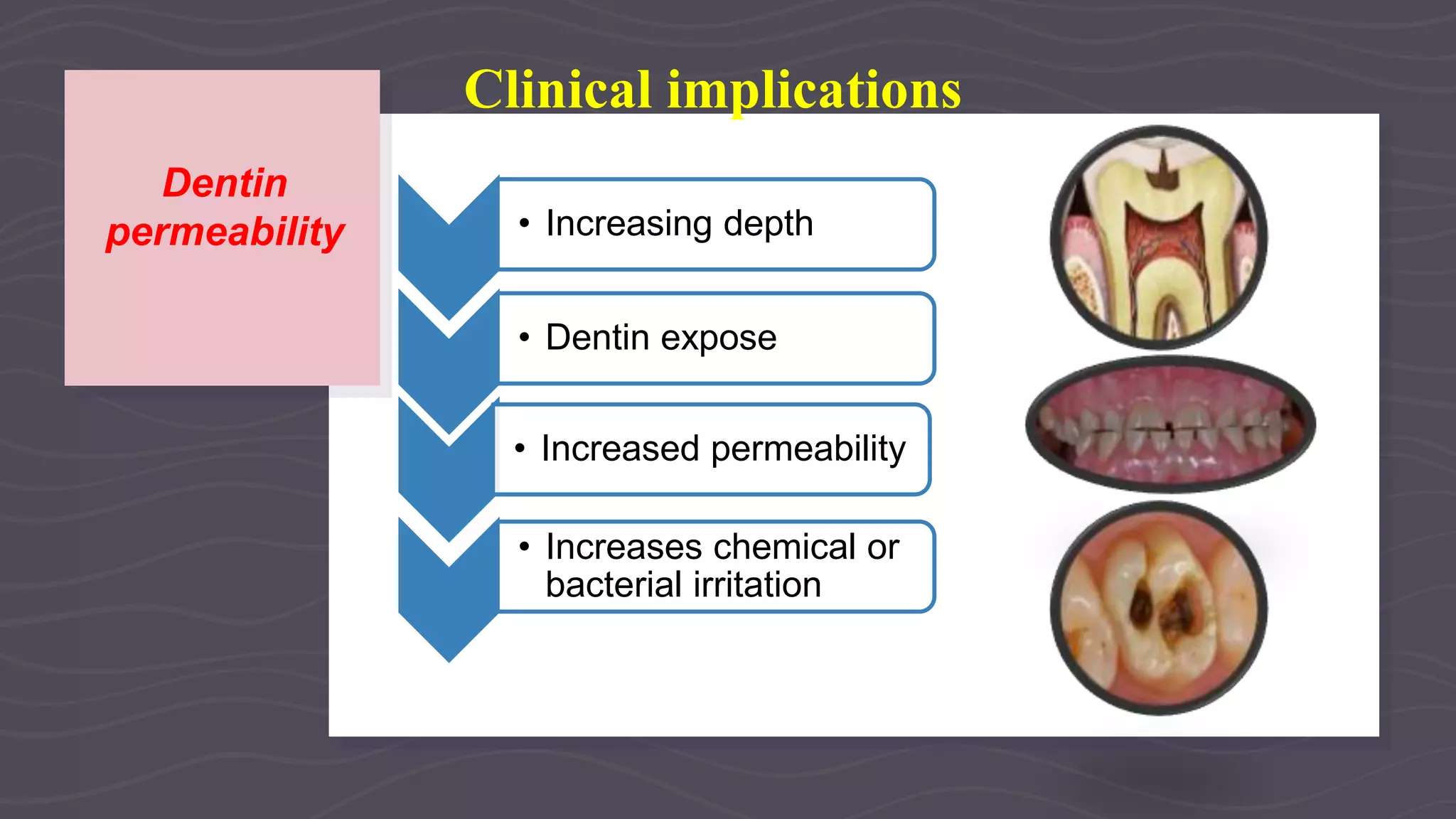 PULP DENTIN COMPLEX | PPTX