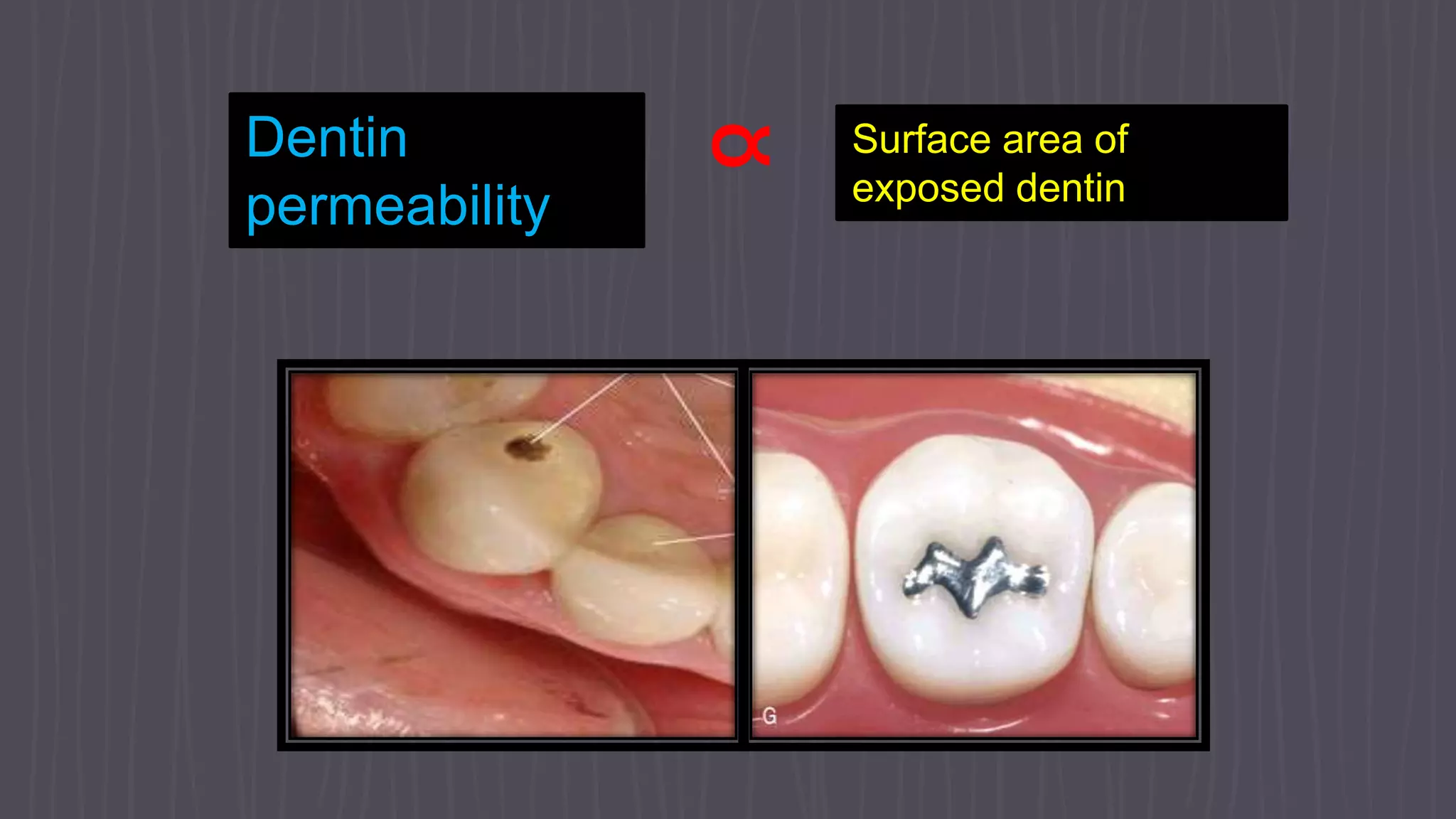 PULP DENTIN COMPLEX | PPTX