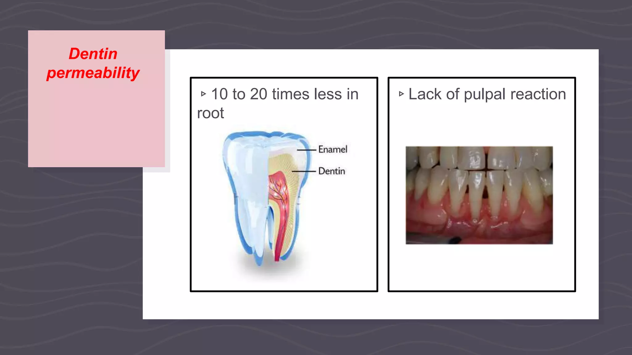 PULP DENTIN COMPLEX | PPTX