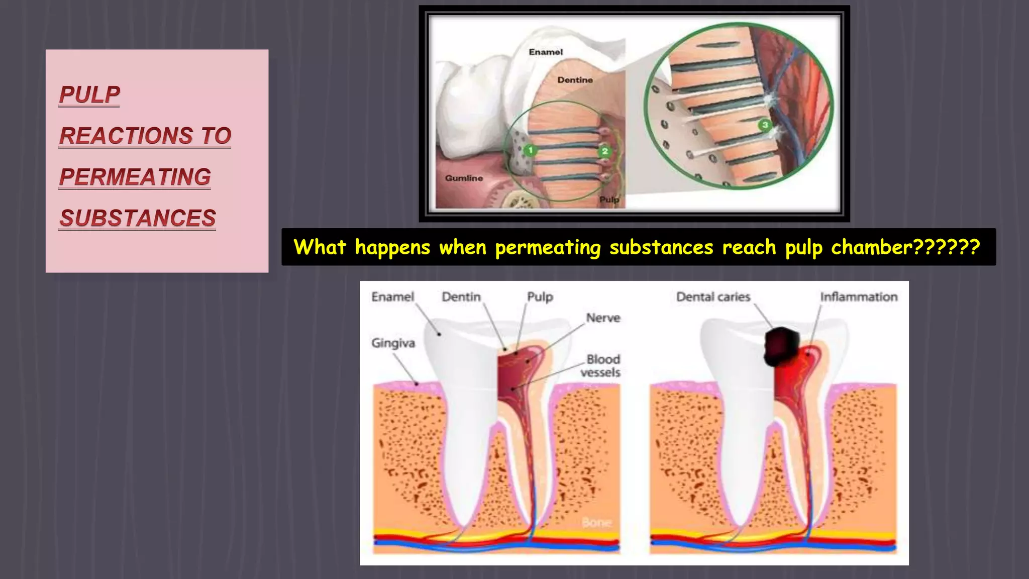 PULP DENTIN COMPLEX | PPTX