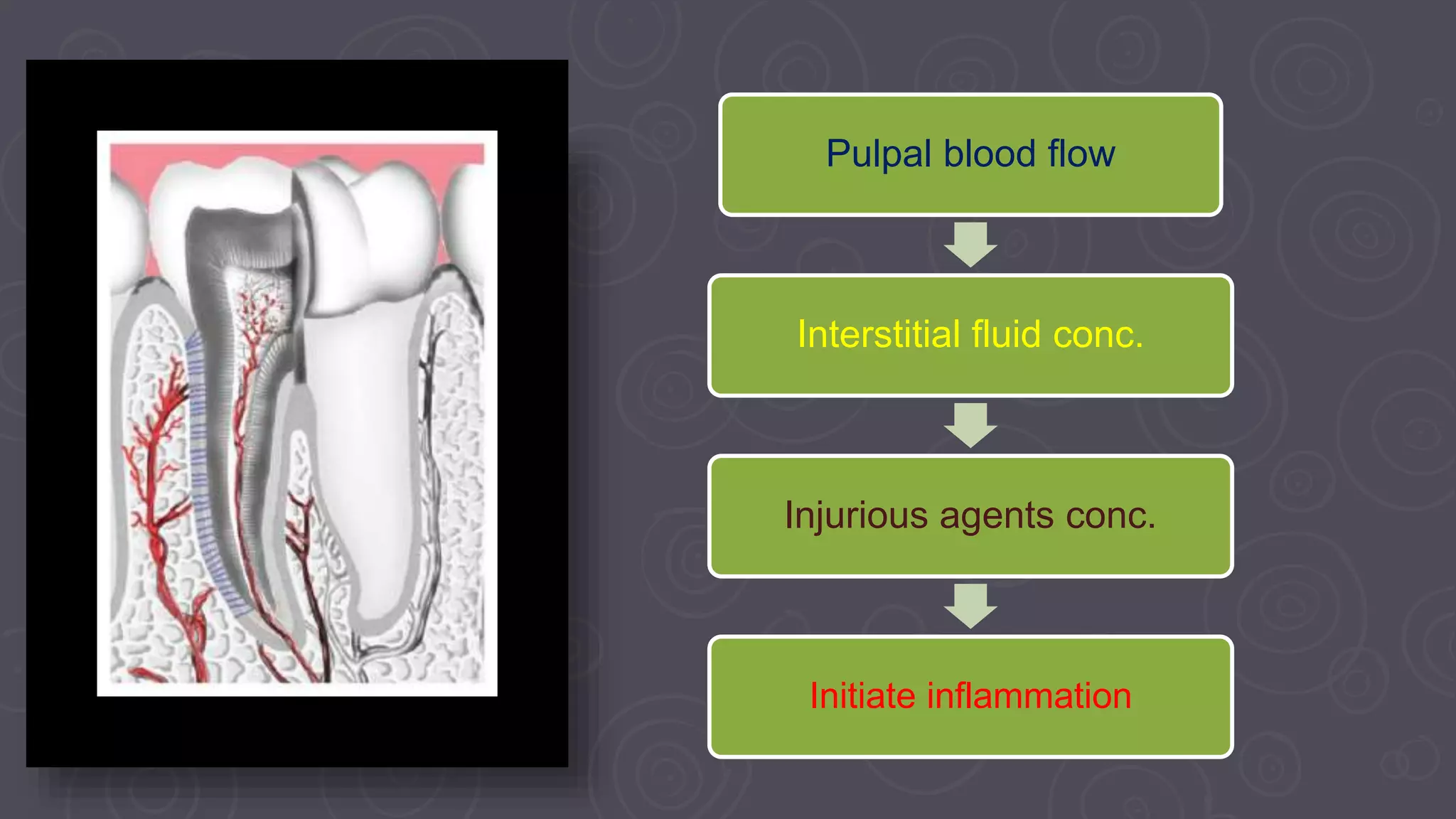 PULP DENTIN COMPLEX | PPTX | Dental Health | Diseases and Conditions