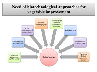 Advances in Vegetable Improvement through Biotechnological Approach | PPTX