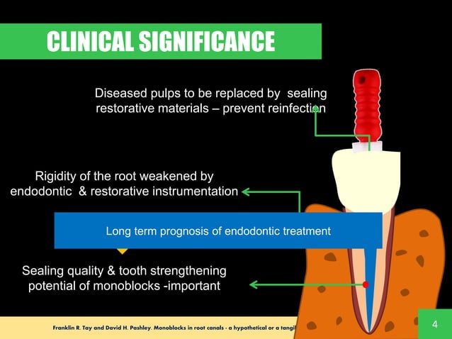 MONOBLOC IN ENDODONTICS - Root canal filling materials and concept of ...