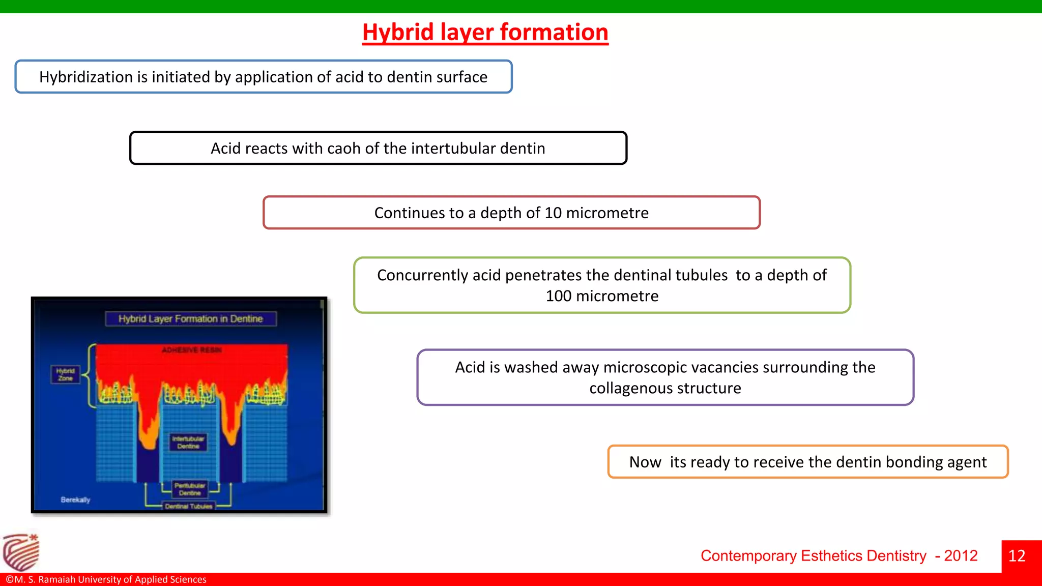 Hybrid layer | PPTX