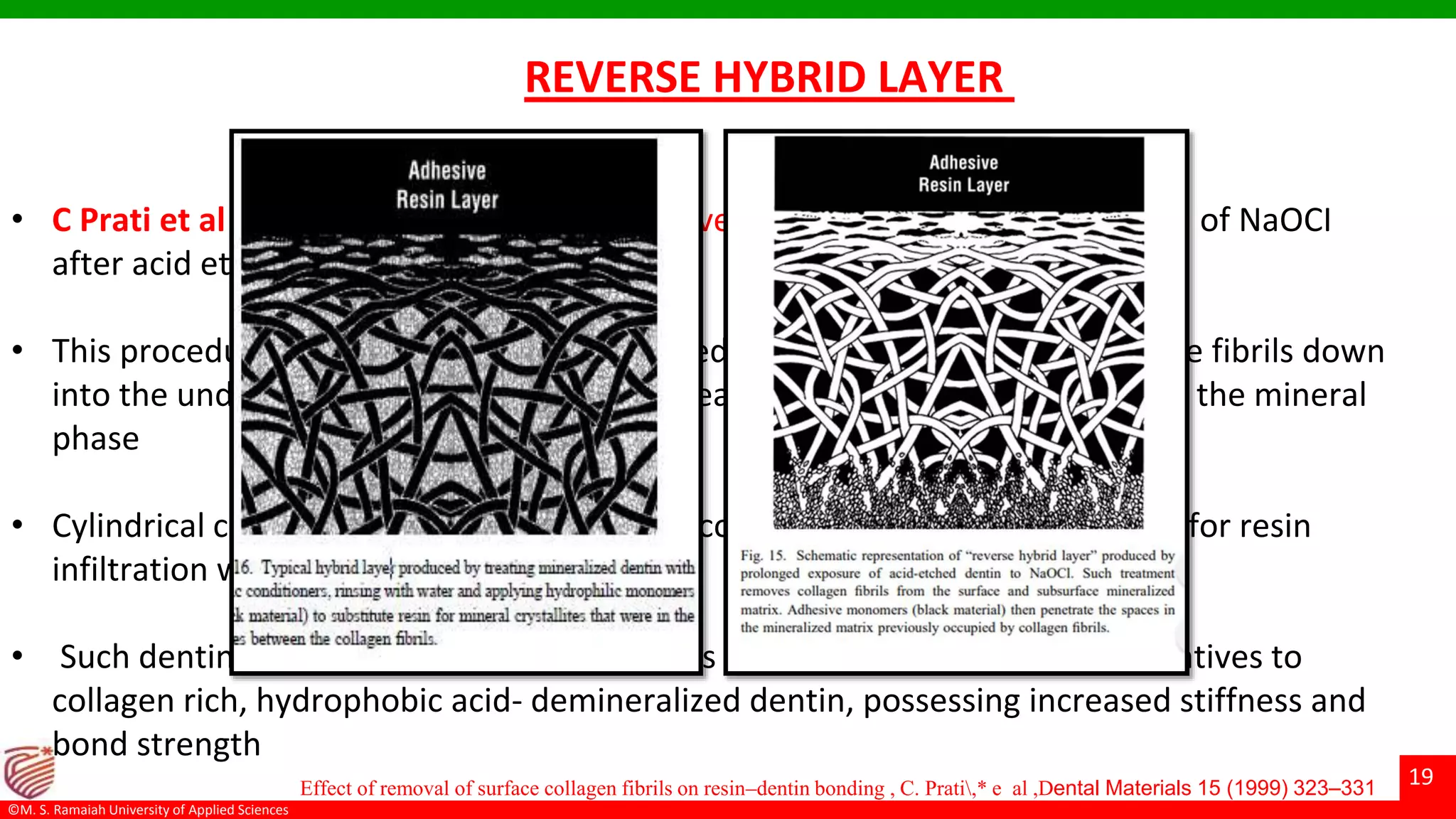 Hybrid layer | PPTX
