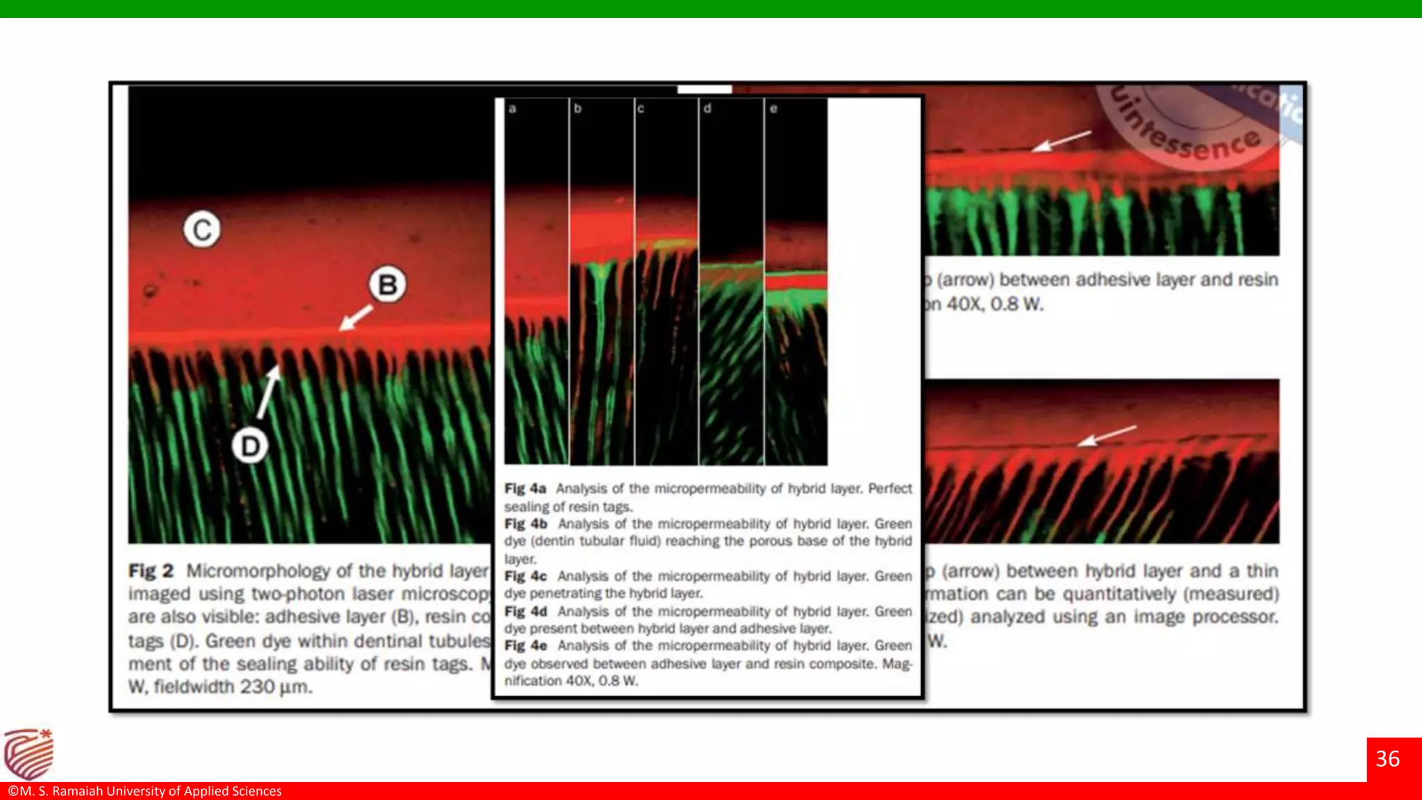 Hybrid layer | PPTX