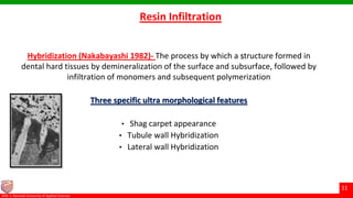 Hybrid layer | PPTX