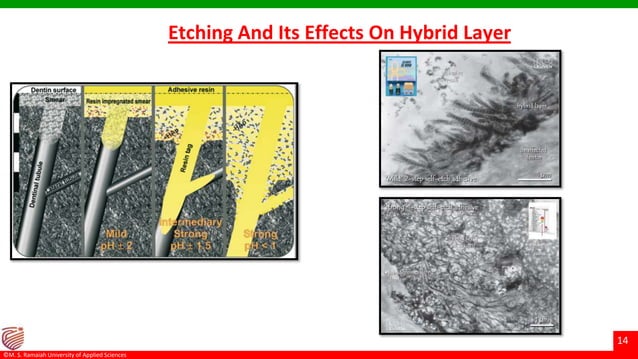 Hybrid layer | PPTX